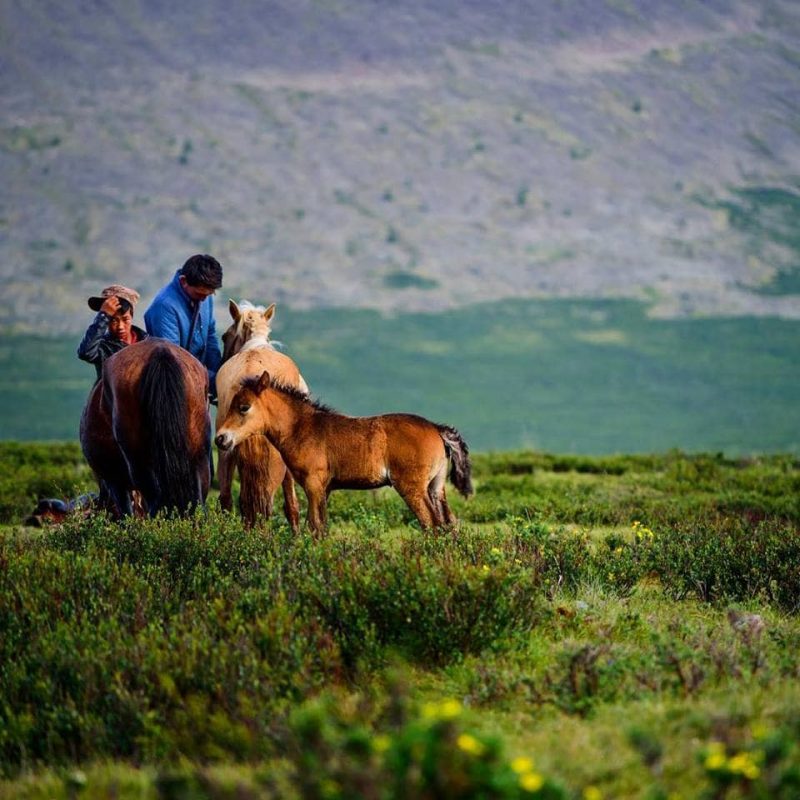 Tsaatan Northern Mongolian tour - Sunpath Mongolia