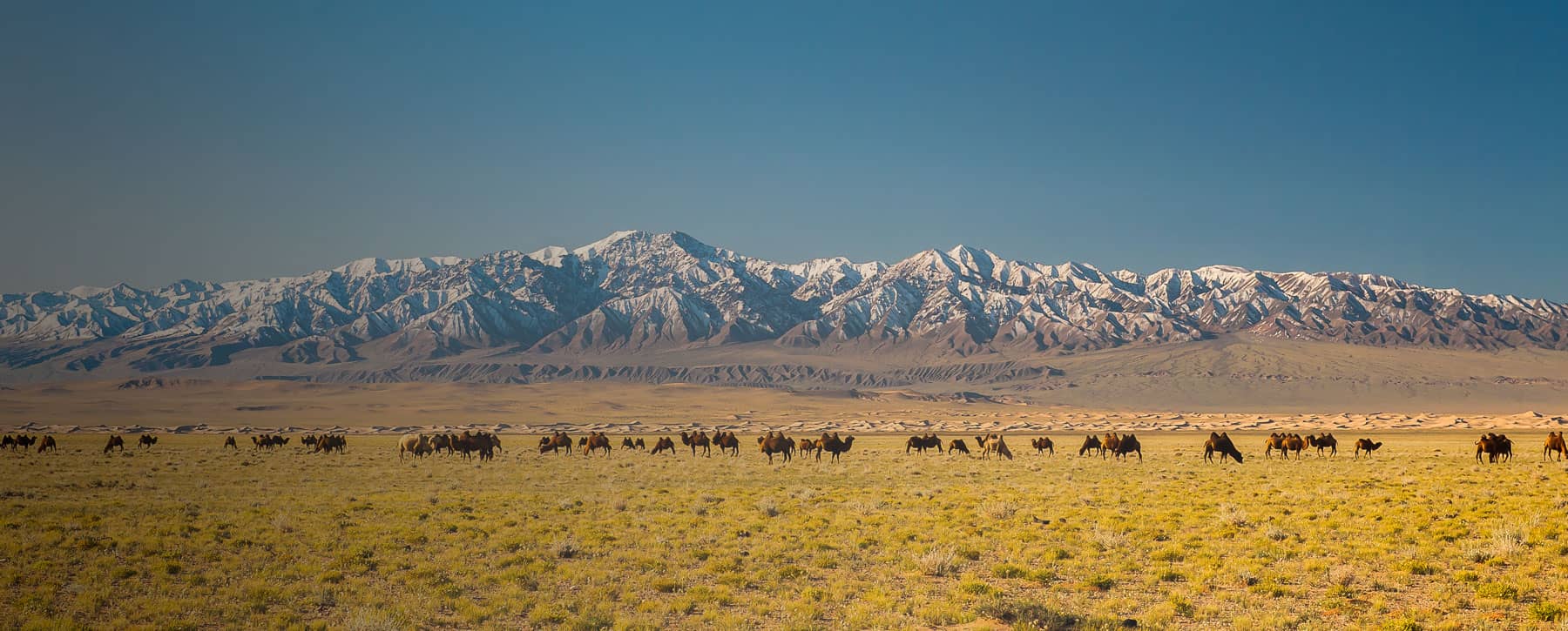 Adventure Tours in Mongolia - Sunpath Mongolia