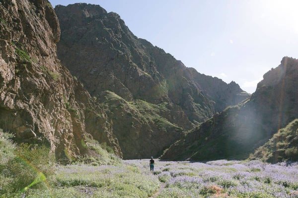 Best of Mongolia Tour - Sunpath Mongolia